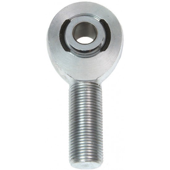 Rotula Superior Interior Roll Design / Walsh